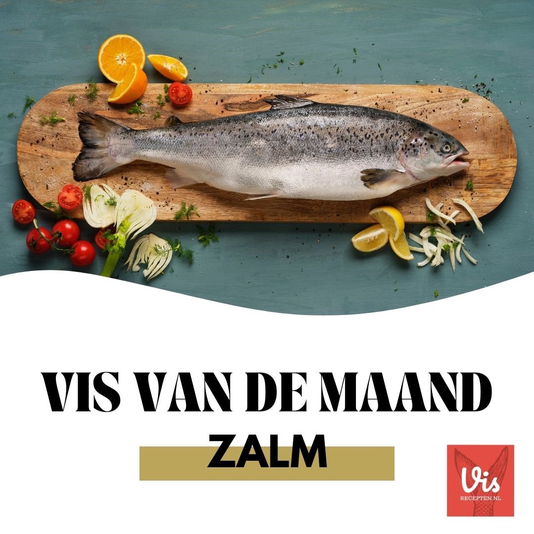Vis van de maand mei: zalm